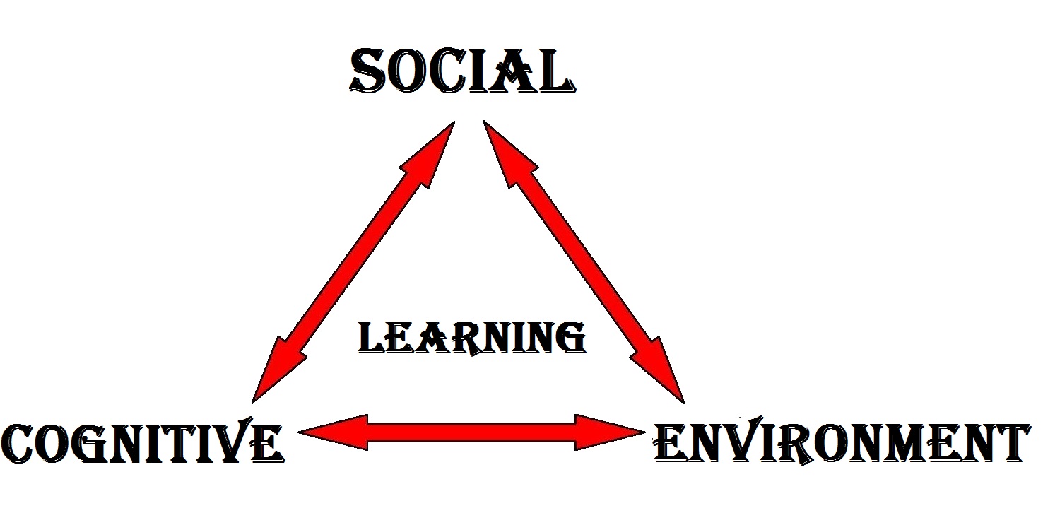 Social Learning in Dogs