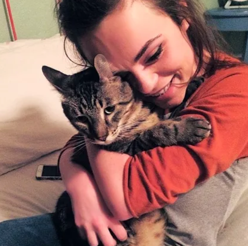 15 Steps To Prevent Your Cat From Going Missing