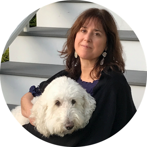 How to Photograph a Black Dog