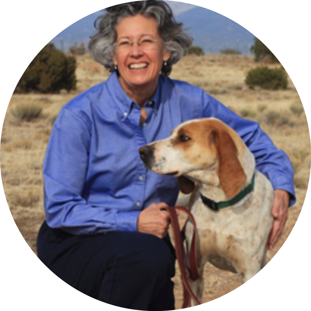 Understanding Is The Key to Showing Love To Pets