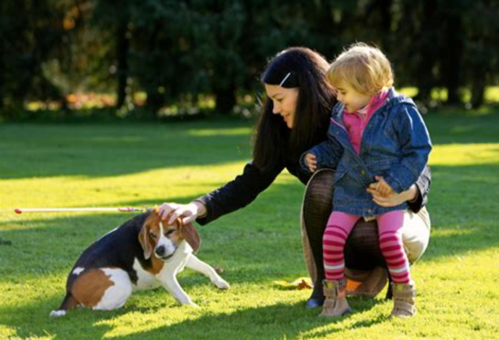 Understanding Is The Key to Showing Love To Pets