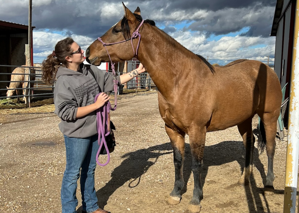 The Benefits Of Animal Massage Therapy