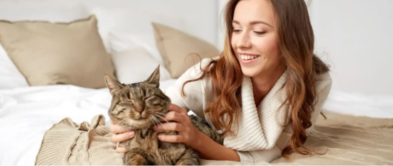 Cat Care - Advice From Petworks Cat Wellness Professionals