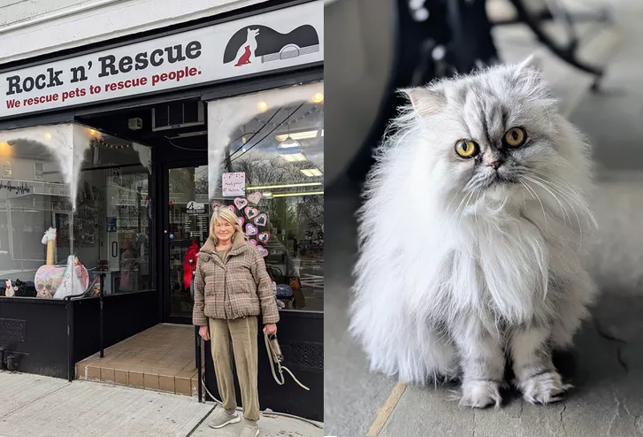 Martha Stewart Adopts A Cat - Magnolia Brings New Joy To Home