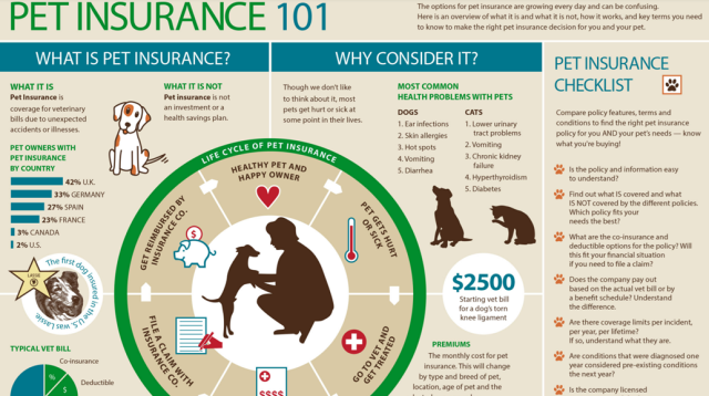 2026 Pet Insurance Comparison Guide