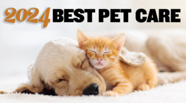 The Best Pet Care - Petworks Beats Mars, Purina, and Rover