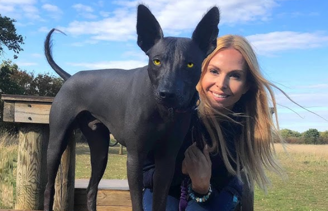 Xoloitzcuintli Pronunciation - Heath and Wellness Canine Care Help