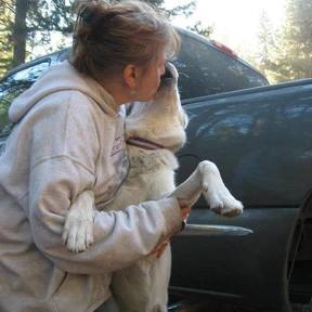 Remote Pet Grief Counseling