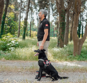 The Ultimate 2026 Dog Training Guide