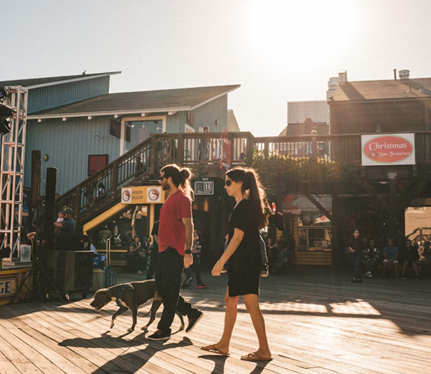 Ultimate 2025 San Francisco Pet-Friendly Care Guide