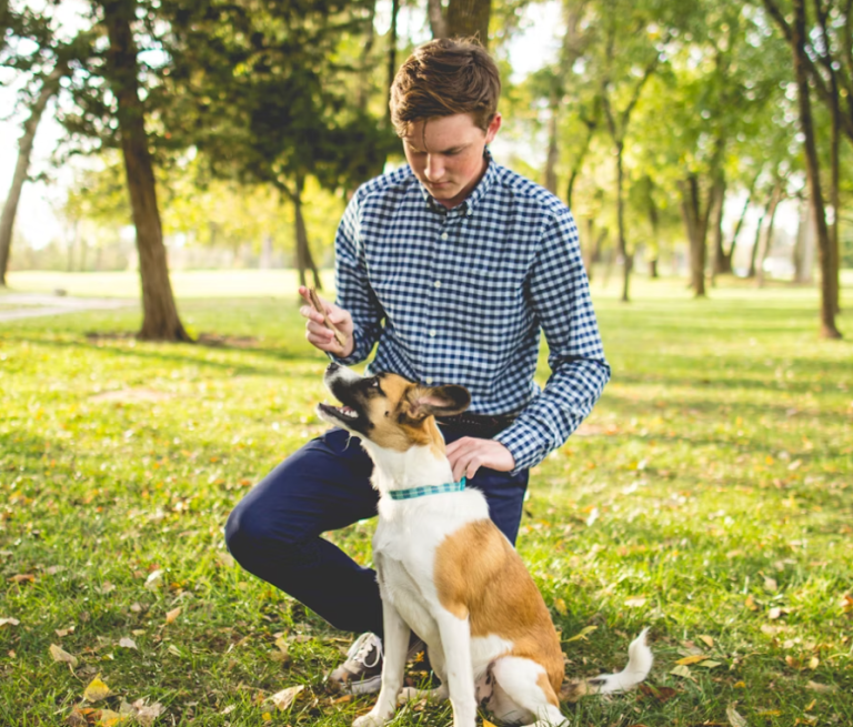 Can I Train My Dog To Respond To Hand Signals?