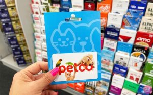 Petco Gift Cards: Where to Buy & How They Work